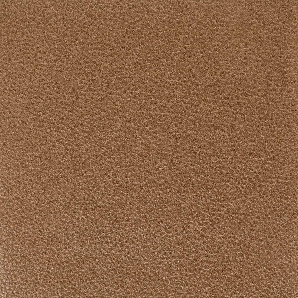 Pitcher 4 Bark - Stout Textiles Fabric by Stout — Design-Driven Textile ...